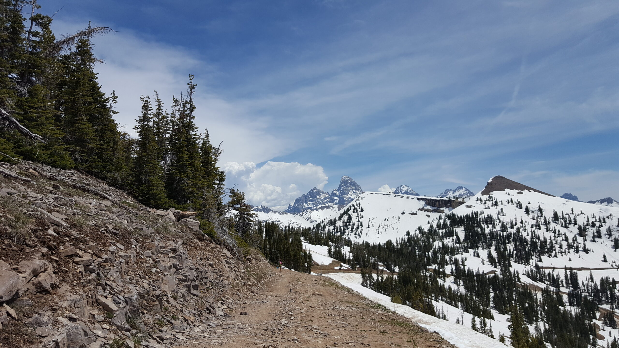 About Me – The Scenic Man